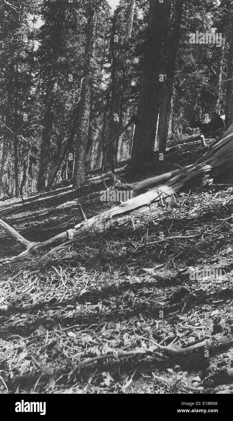 The U.S. Fish and Wildlife Service manages a network of National ...