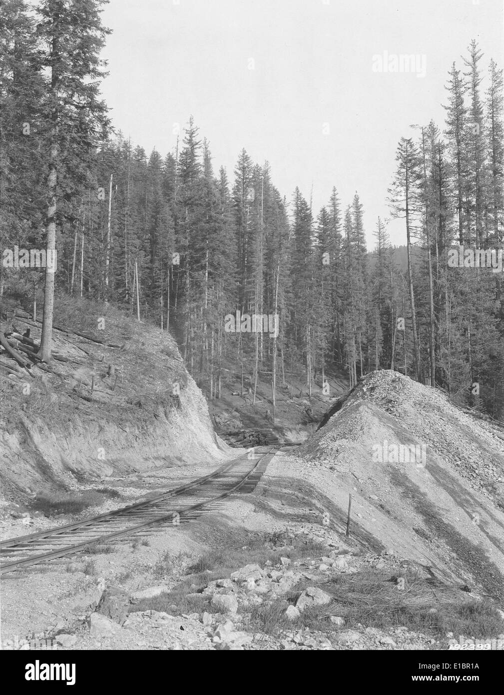 9036 hi-res stock photography and images - Alamy