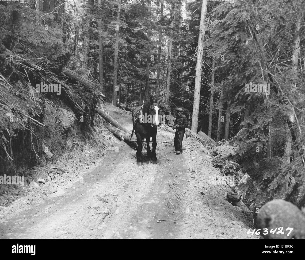 9131 Black and White Stock Photos & Images - Alamy