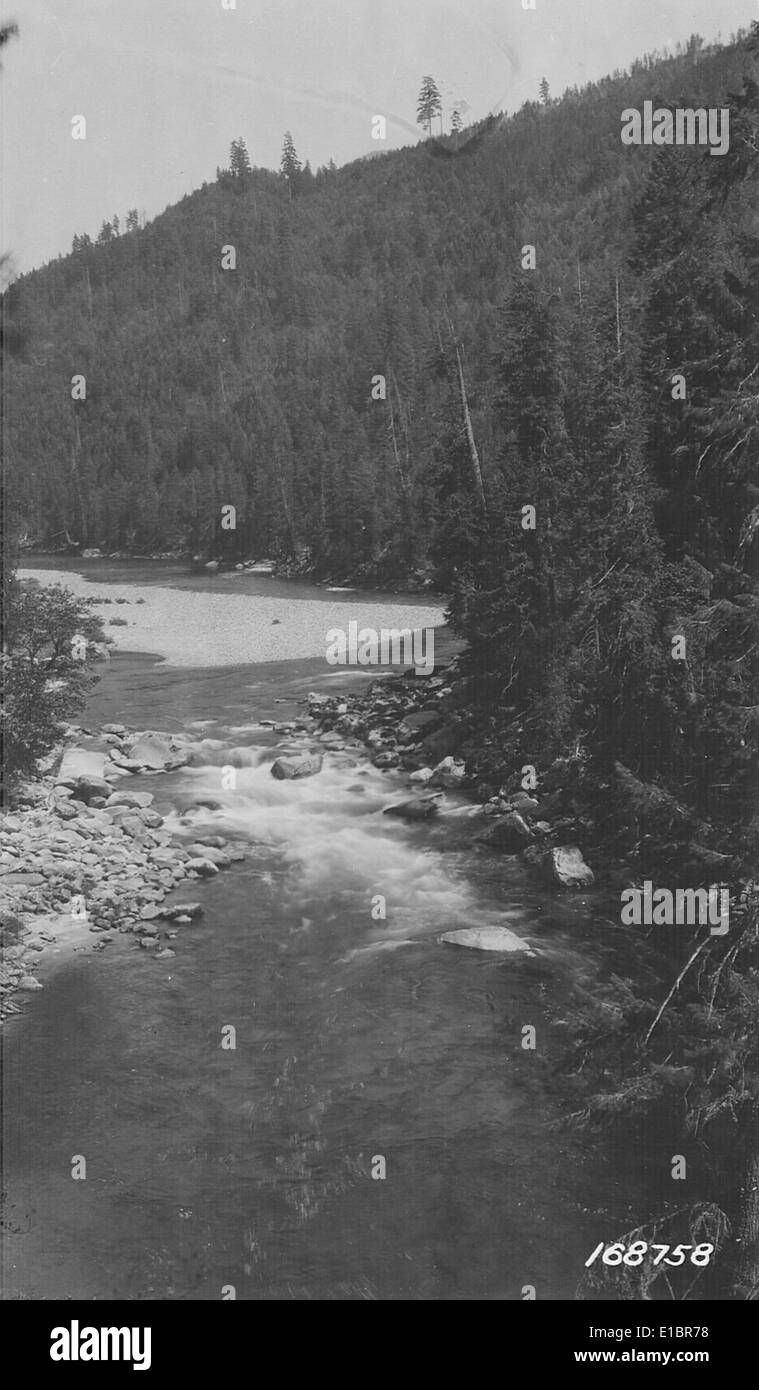 Forest keeping Black and White Stock Photos & Images - Alamy