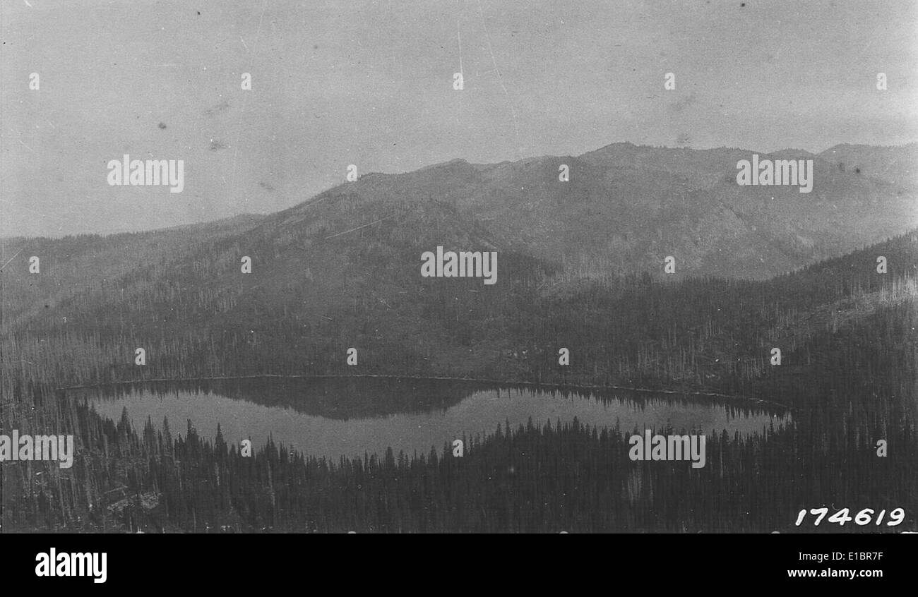 This image features a landscape focused on ecological and environmental ...