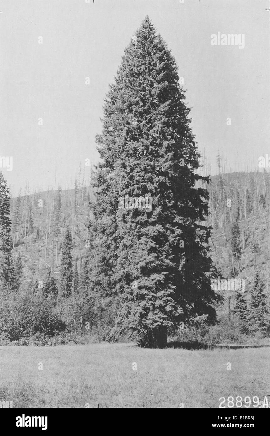 8452 hi-res stock photography and images - Alamy