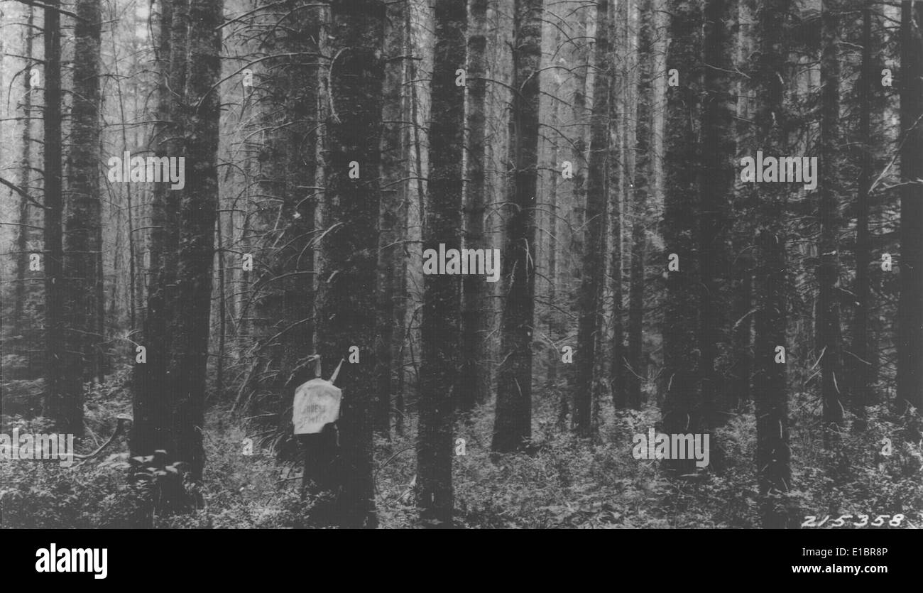 Wildlife education materials Black and White Stock Photos & Images - Alamy