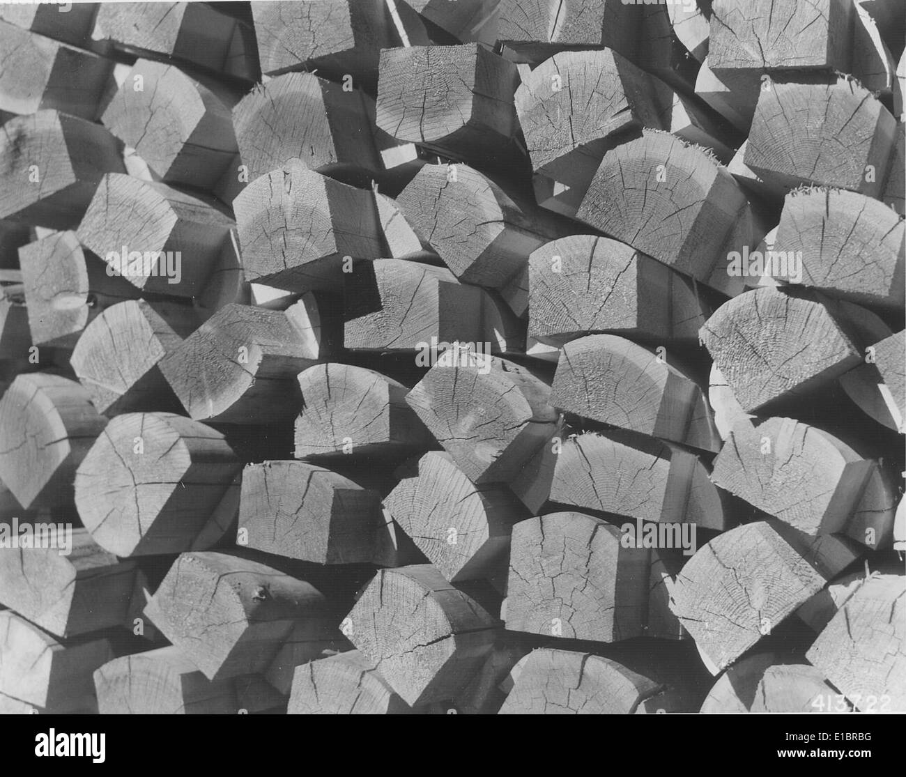 This entry represents an image identified by the reference number 99-8271. No additional context ...