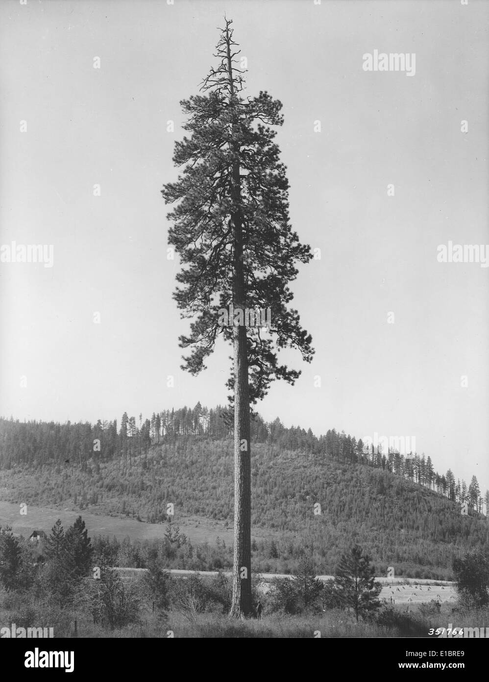 This image shows a notable Forest Service project, focusing on ...