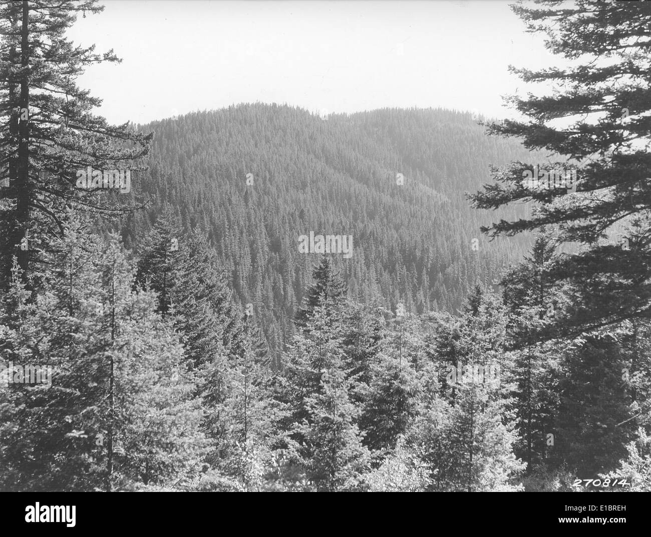 This image depicts a historic moment, capturing the key features of a ...