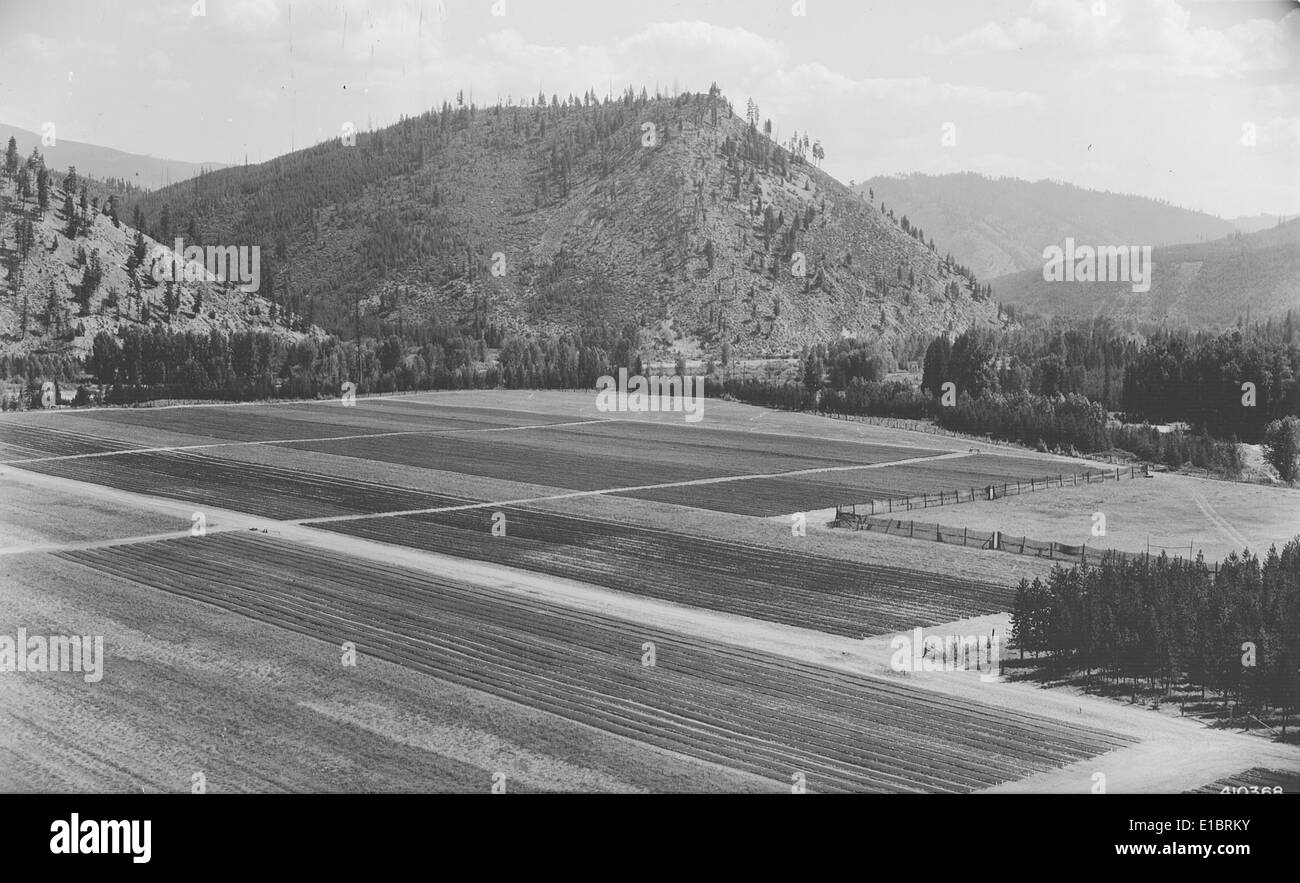 This archival photo from the Northern Region Archives depicts ...