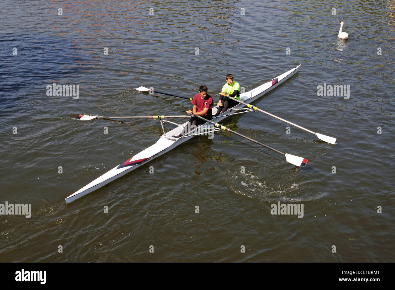Coxless pair rowing along the River Avon, Stratford-Upon-Avon ...