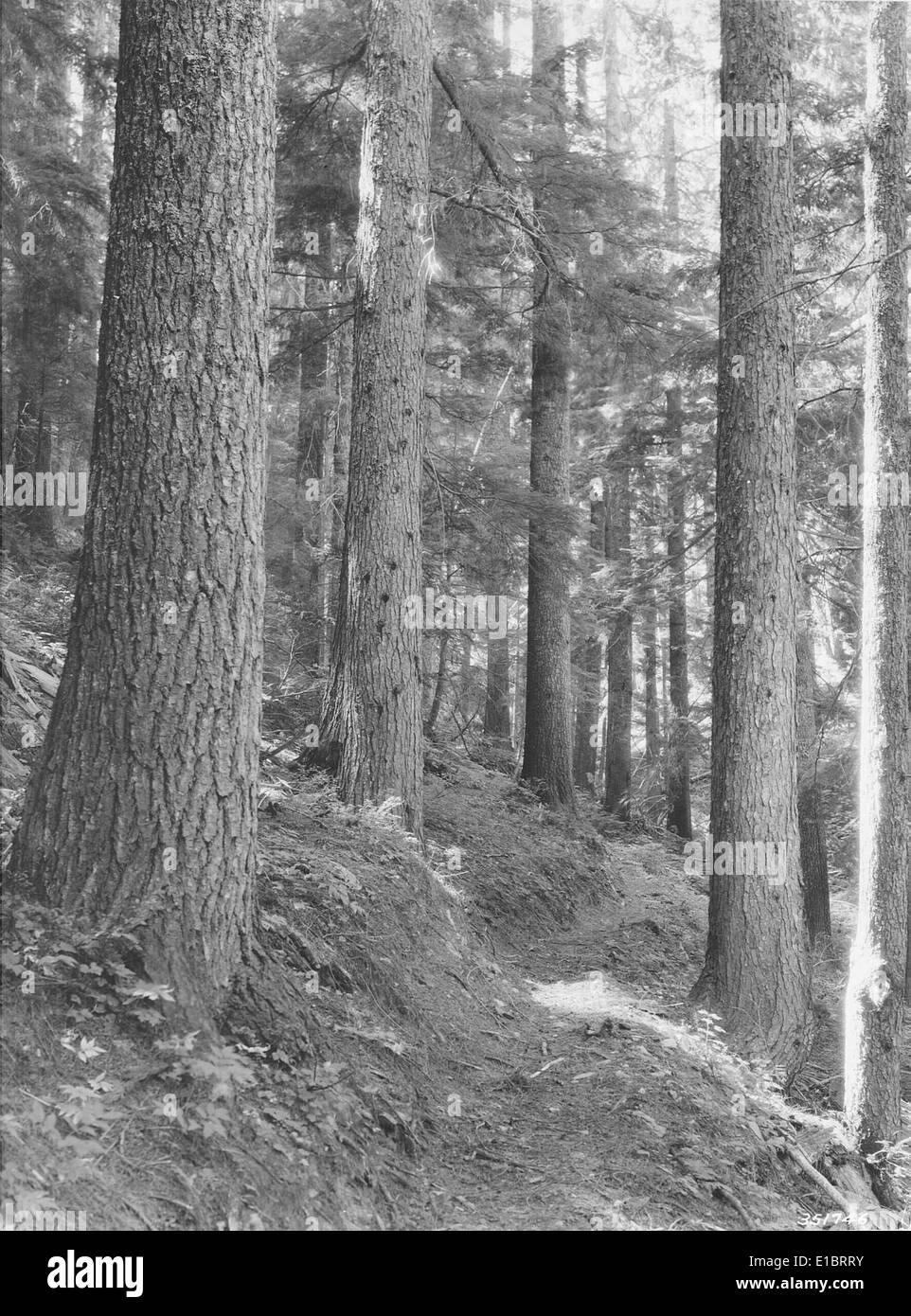 8467 hi-res stock photography and images - Alamy