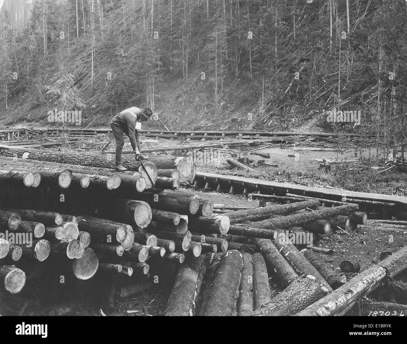 9081 hi-res stock photography and images - Alamy