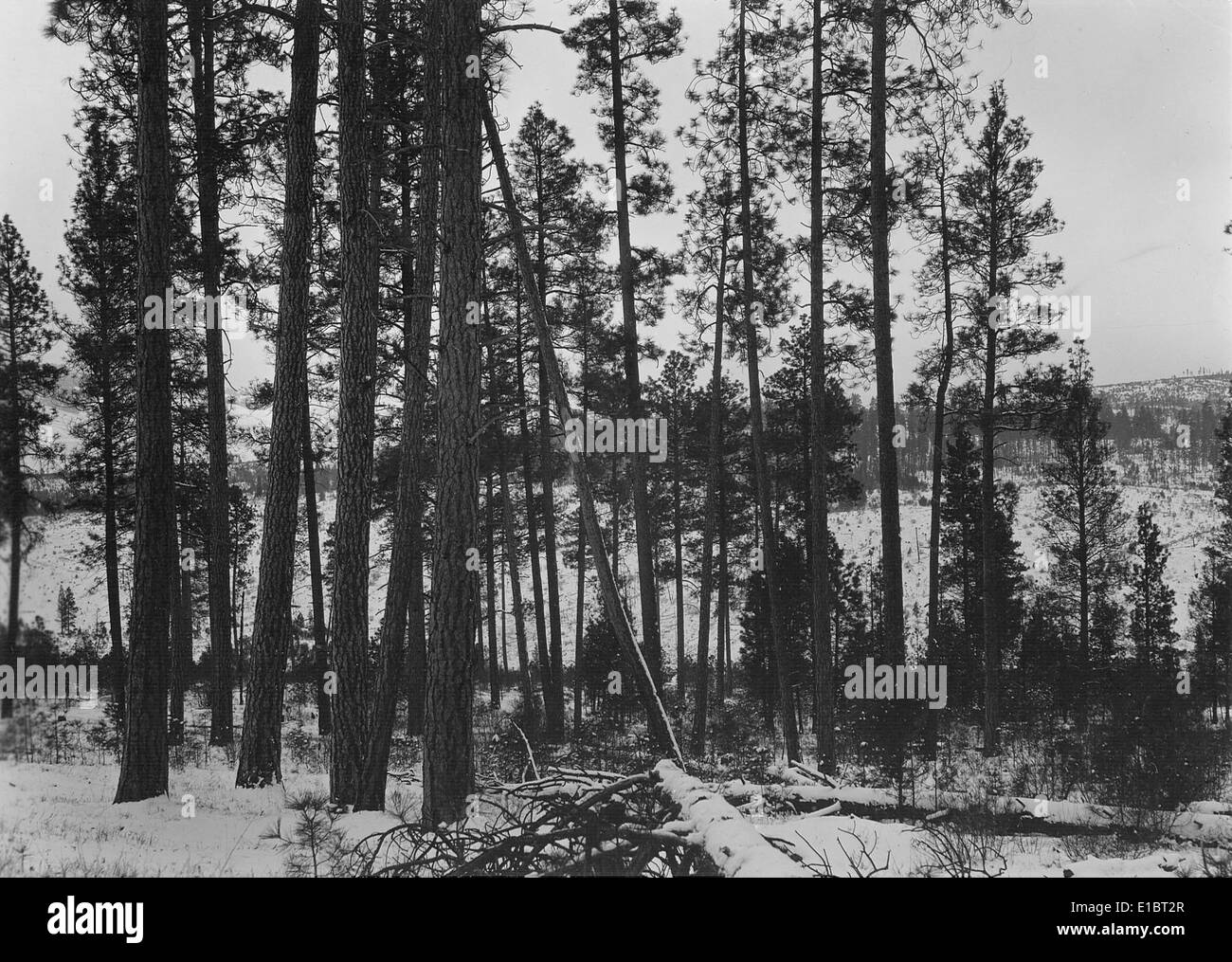 Key northern region Black and White Stock Photos & Images - Alamy