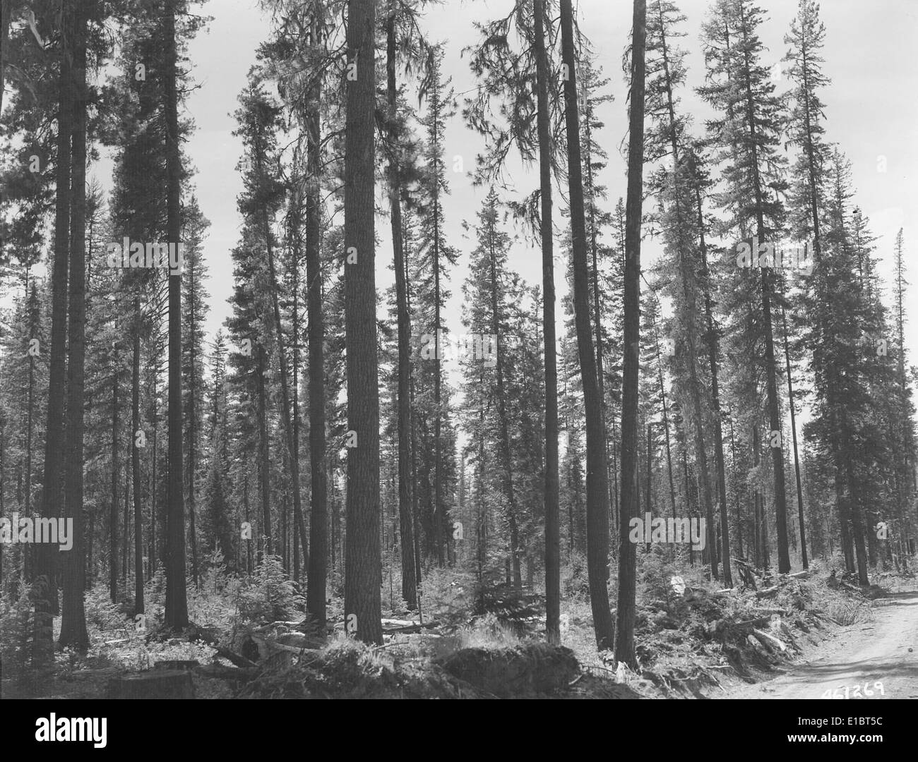 Holds points Black and White Stock Photos & Images - Alamy