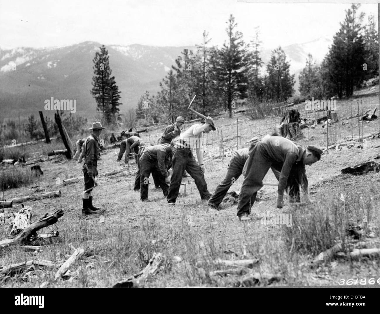 This image highlights the dynamic relationship between nature and ...