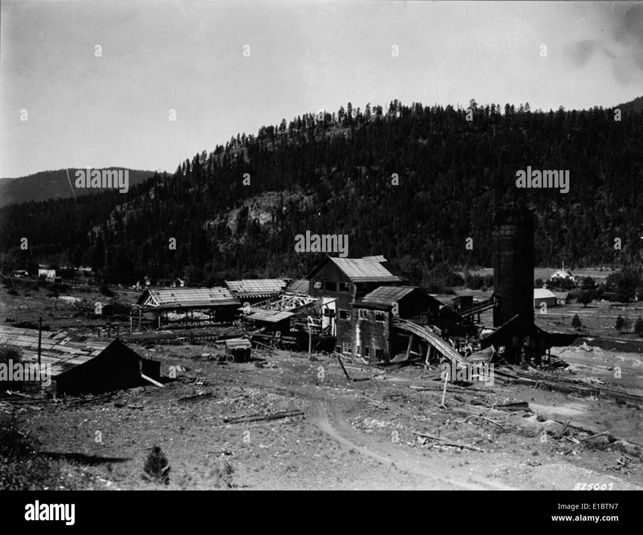 This image captures natural elements of the area, focusing on ...