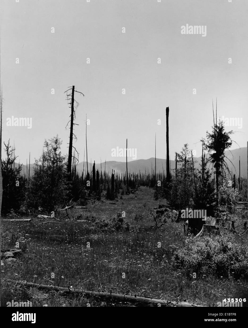 An image captured during fieldwork, designated as 99-9811 (CP 159 #2 ...