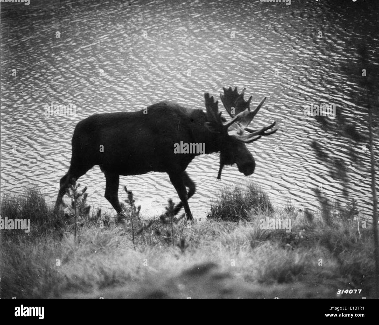 10209 hi-res stock photography and images - Alamy