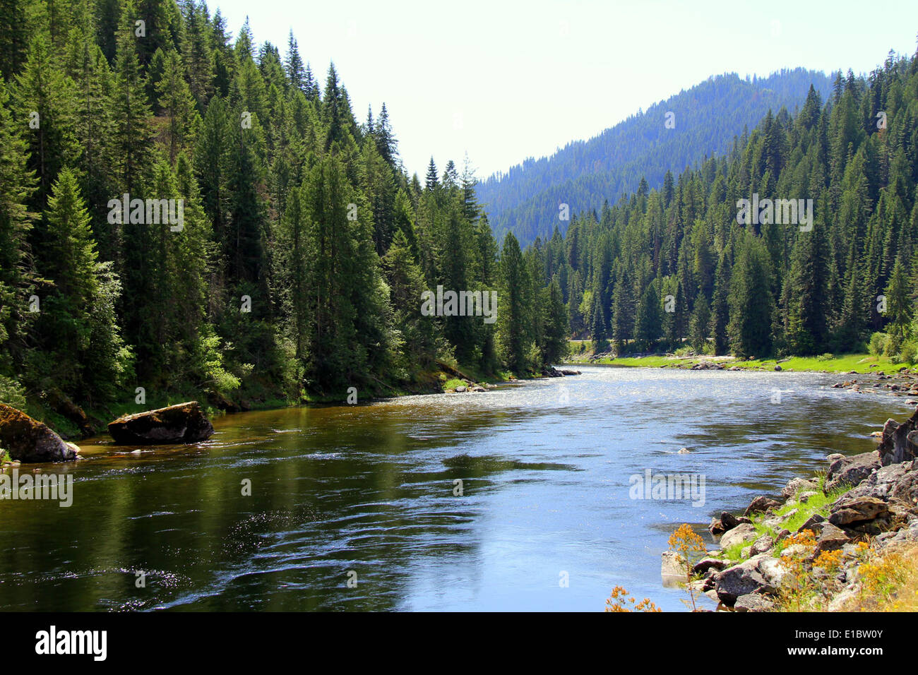 Lochsa river hi-res stock photography and images - Alamy
