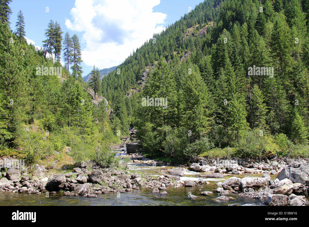 Lochsa River High Resolution Stock Photography and Images - Alamy