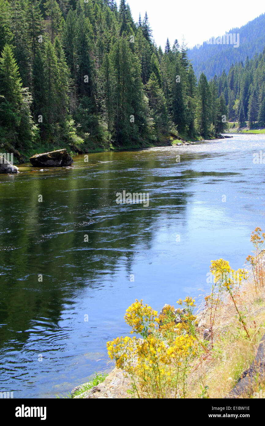 Lochsa river hi-res stock photography and images - Alamy