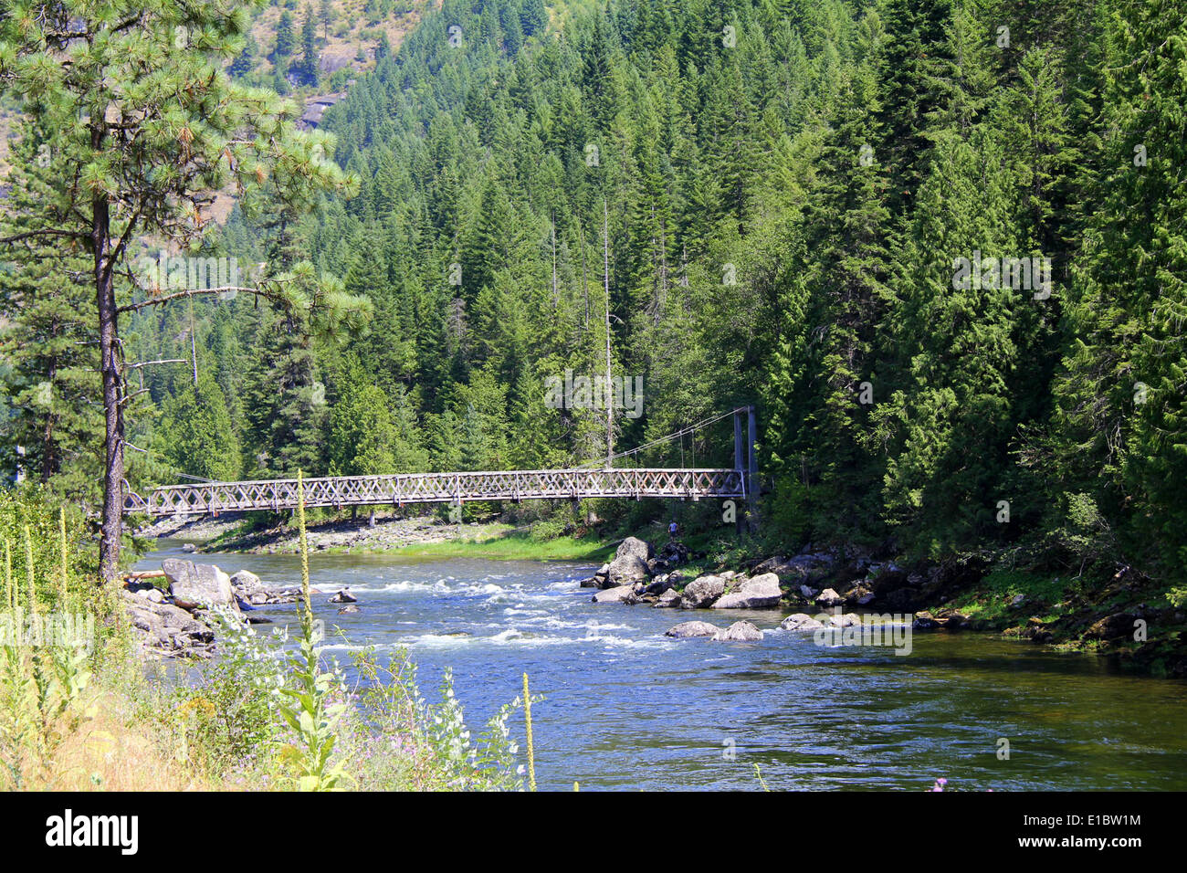 Lochsa River High Resolution Stock Photography and Images - Alamy