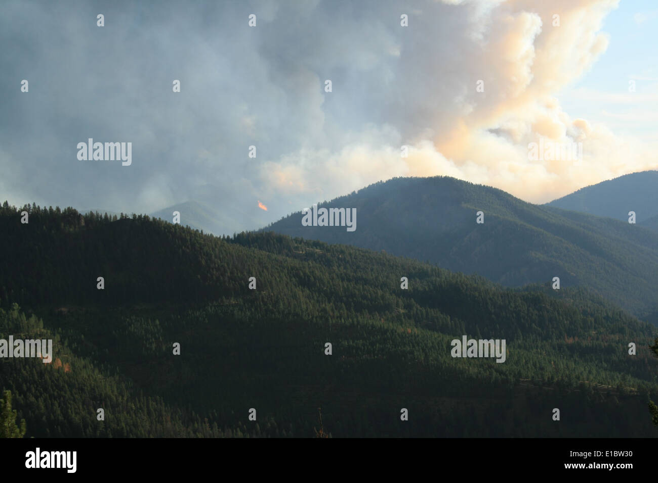 West fork fire complex hi-res stock photography and images - Alamy