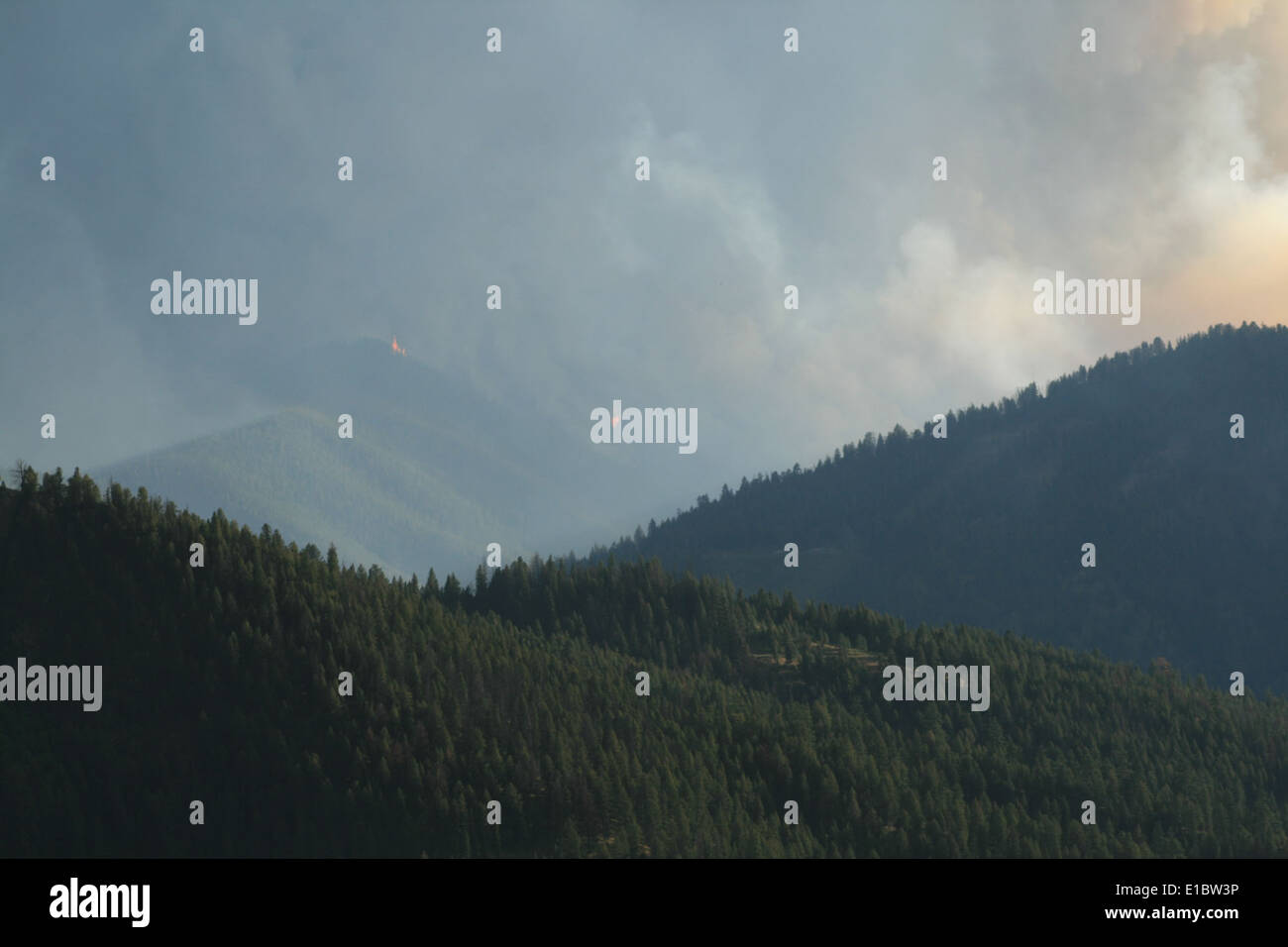 Fire lookout tower wildfire hi-res stock photography and images - Alamy
