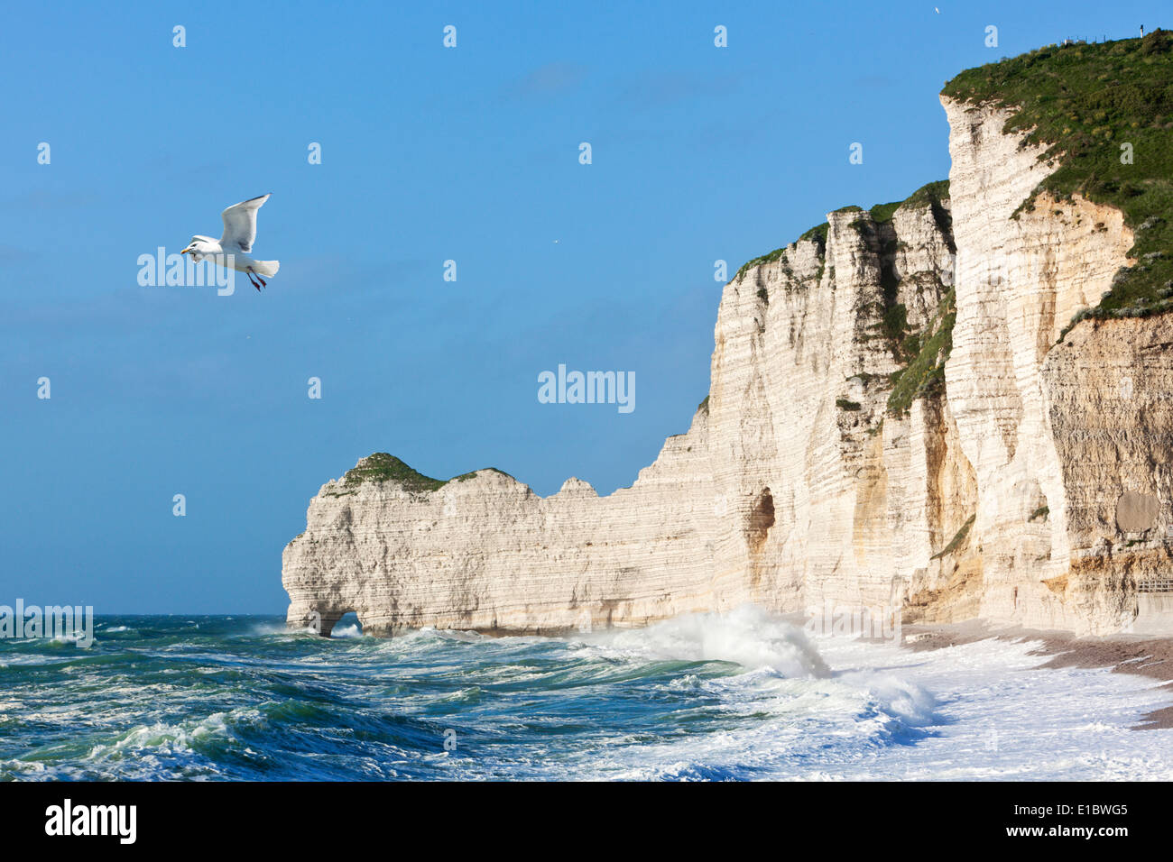 Falaise d'Amont cliff at Etretat, Normandy, France Stock Photo - Alamy