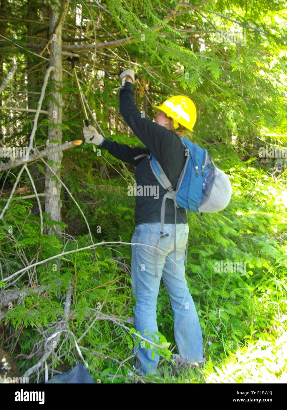 The Youth Conservation Corps (YCC) program, part of the U.S. Forest ...