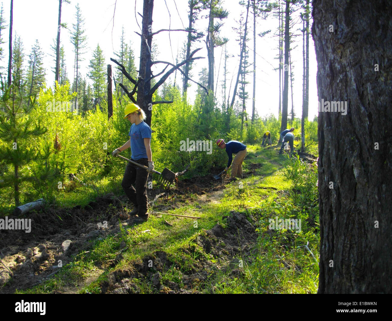 The Youth Conservation Corps (YCC) in the Northern Region provides ...