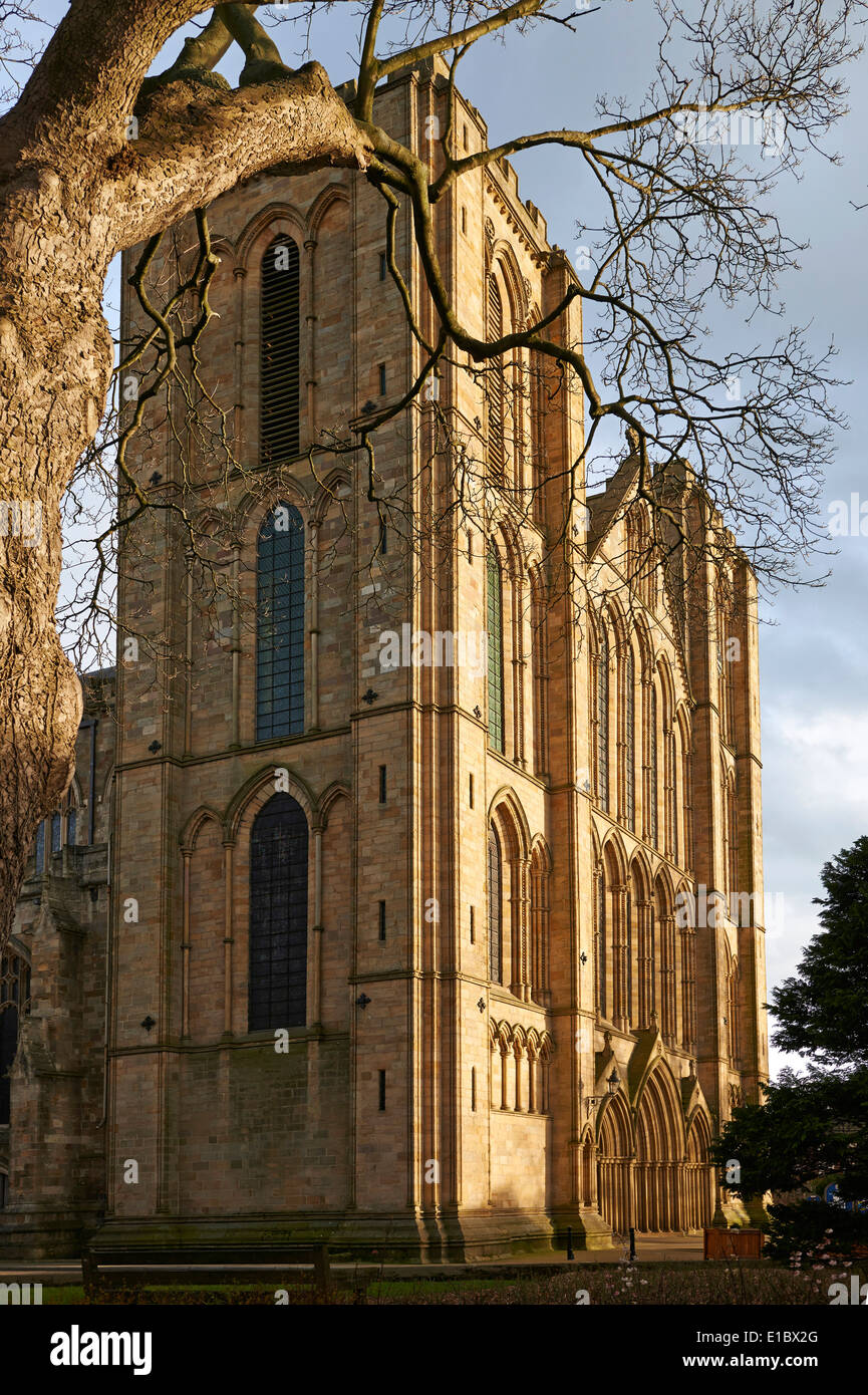 Ripon Cathedral, Ripon North Yorkshire, Northern England Stock Photo ...