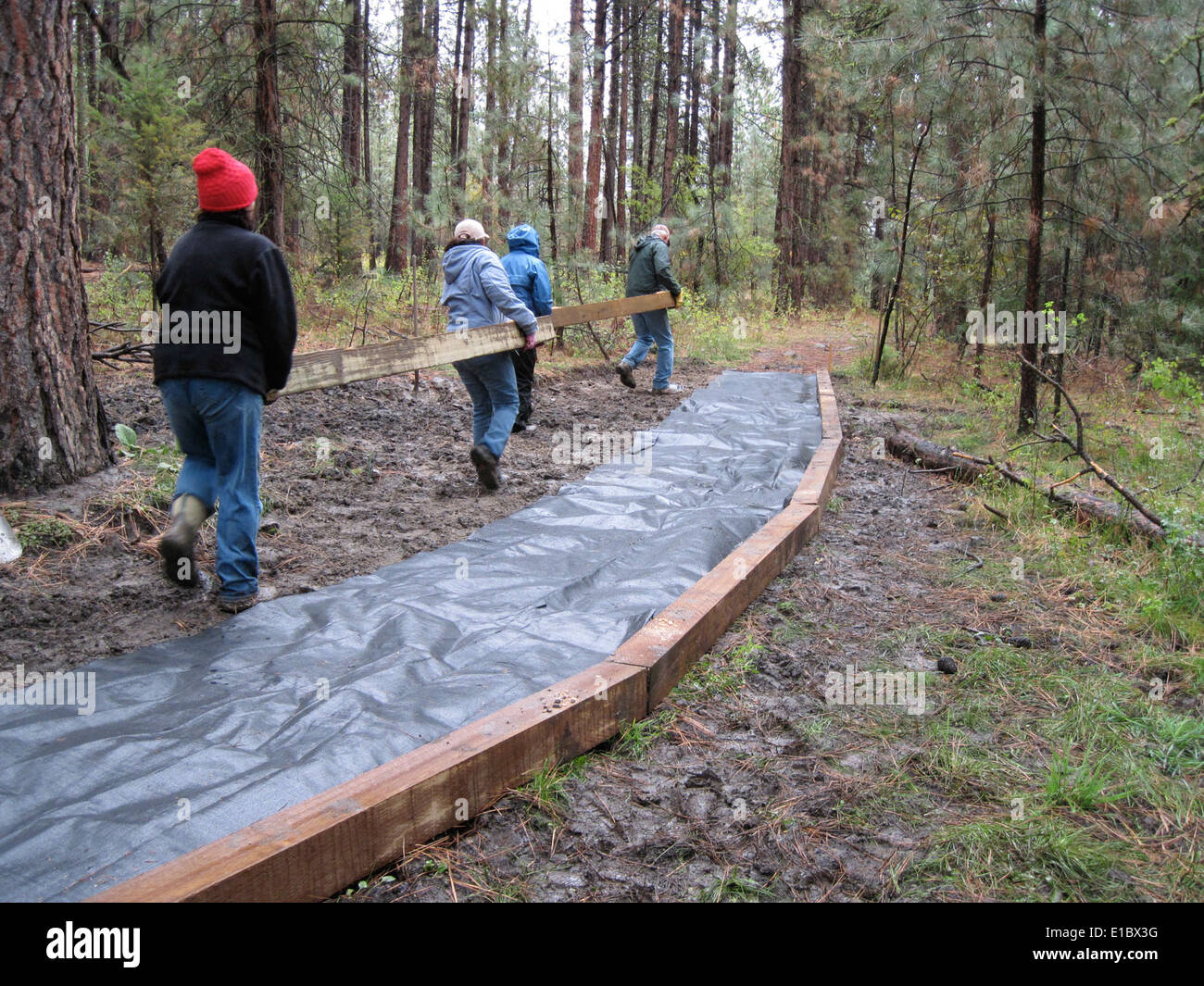 Carrying timbers to line trail Stock Photo - Alamy
