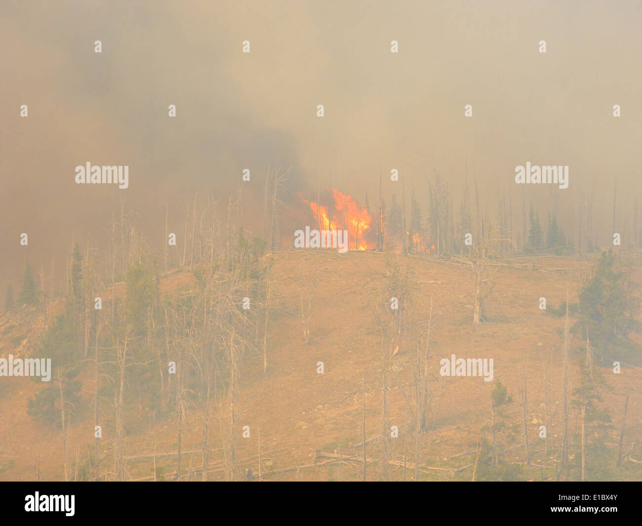 The 41 Complex Fires, which occurred in 2011, impacted the Bitterroot ...