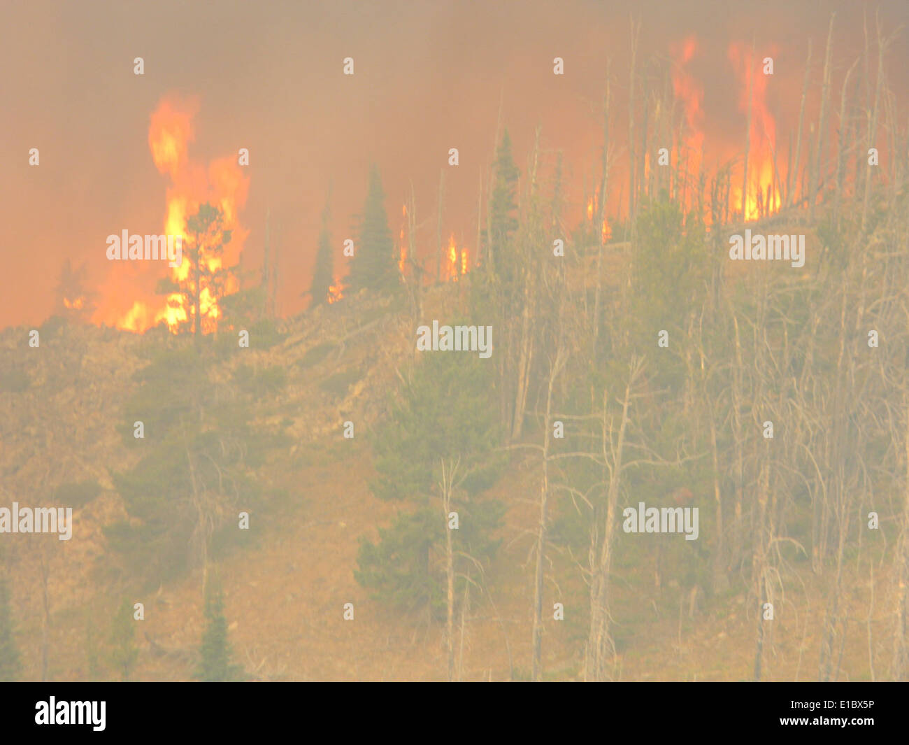 The 41 Complex Fires in 2011 impacted the Bitterroot National Forest in ...