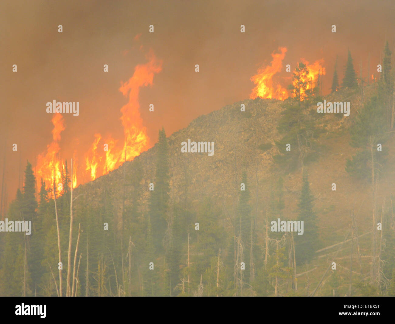 The 41 Complex Fires, which occurred in the Bitterroot National Forest ...