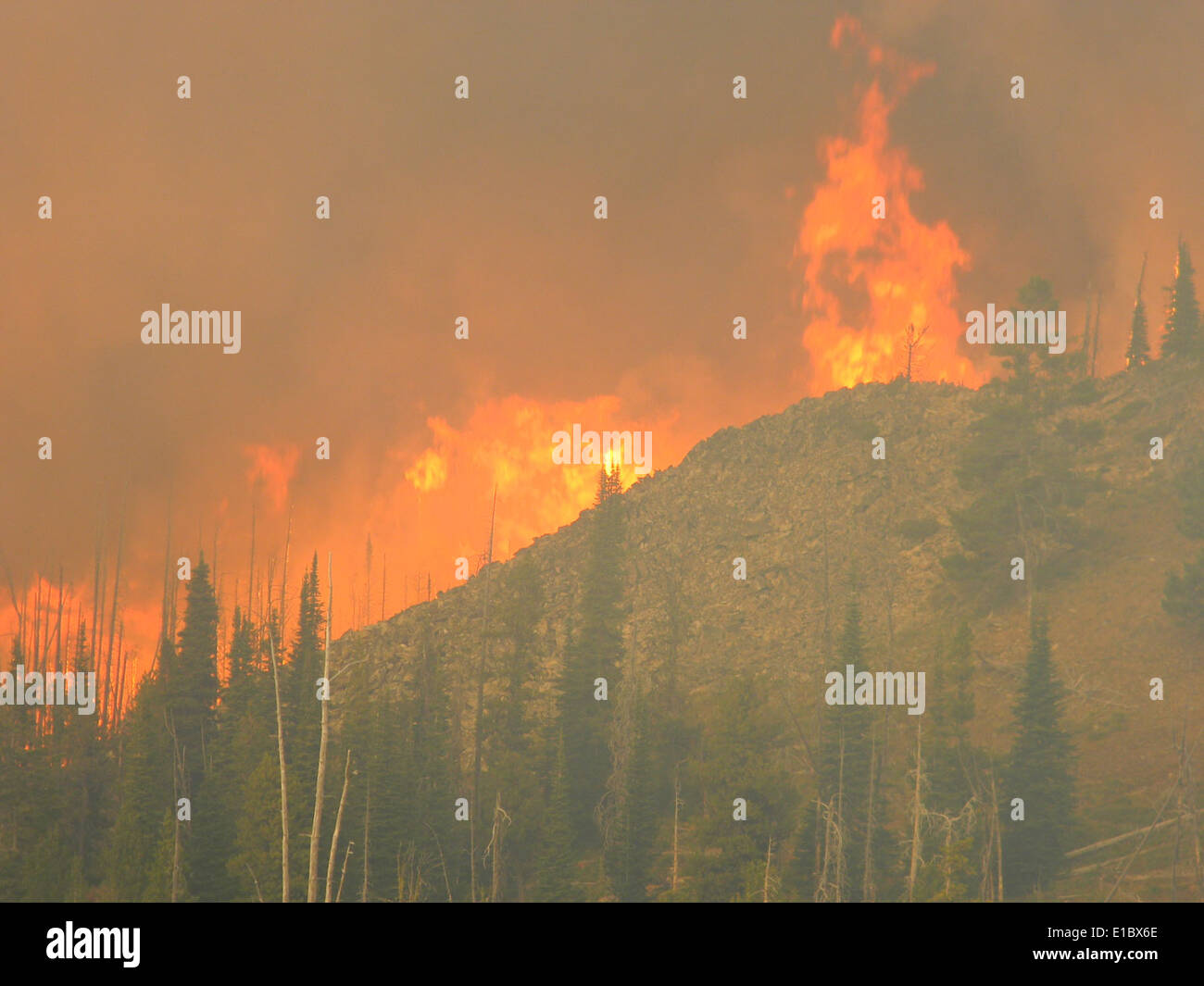 The 41 Complex Fires in 2011 ravaged areas of Bitterroot National ...