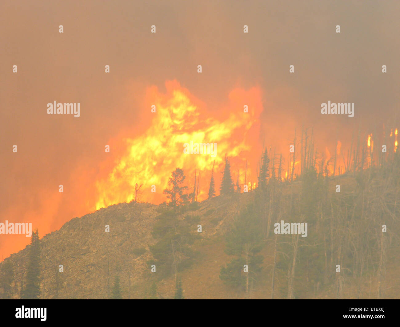 The Up Top fire was part of the 41 Complex Fires in the Bitterroot National Forest in 2011 ...