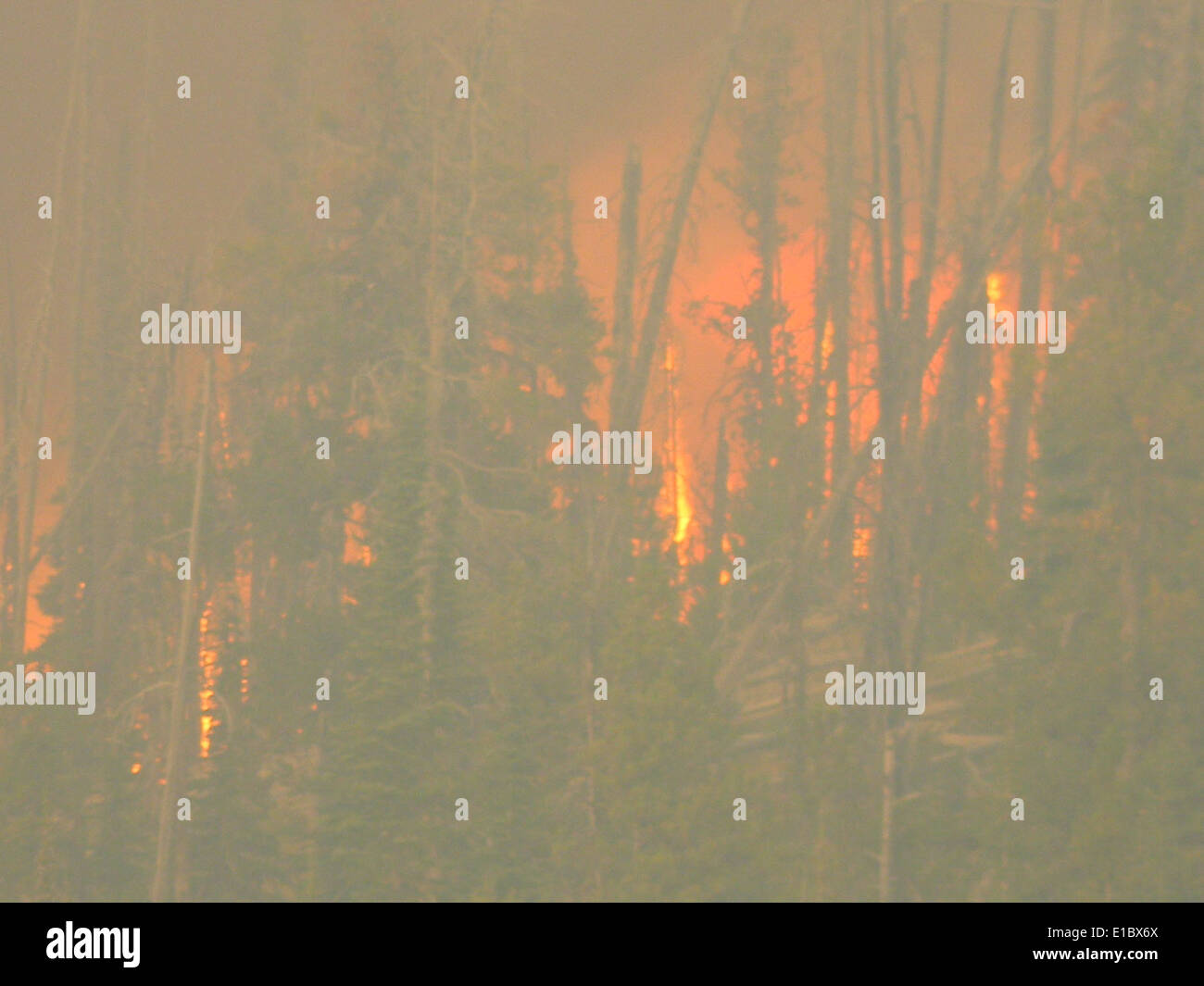 Firesurvey hi-res stock photography and images - Alamy