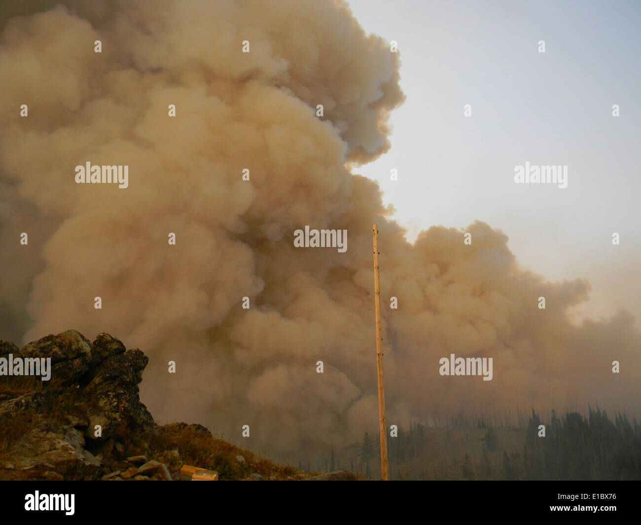 The 41 Complex Fires in 2011 affected the Bitterroot National Forest ...