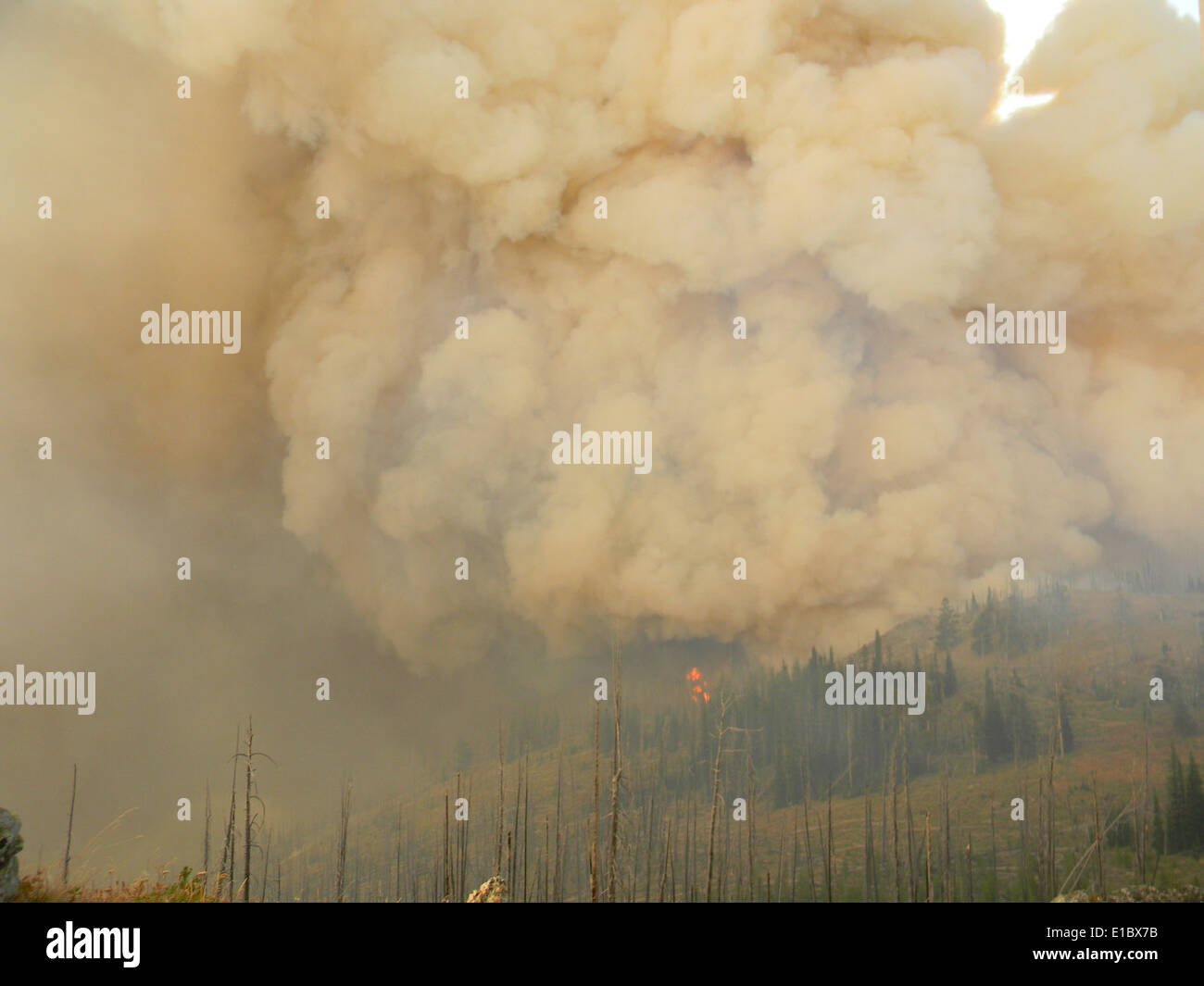 The 41 Complex Fires, which occurred in 2011 in Bitterroot National ...