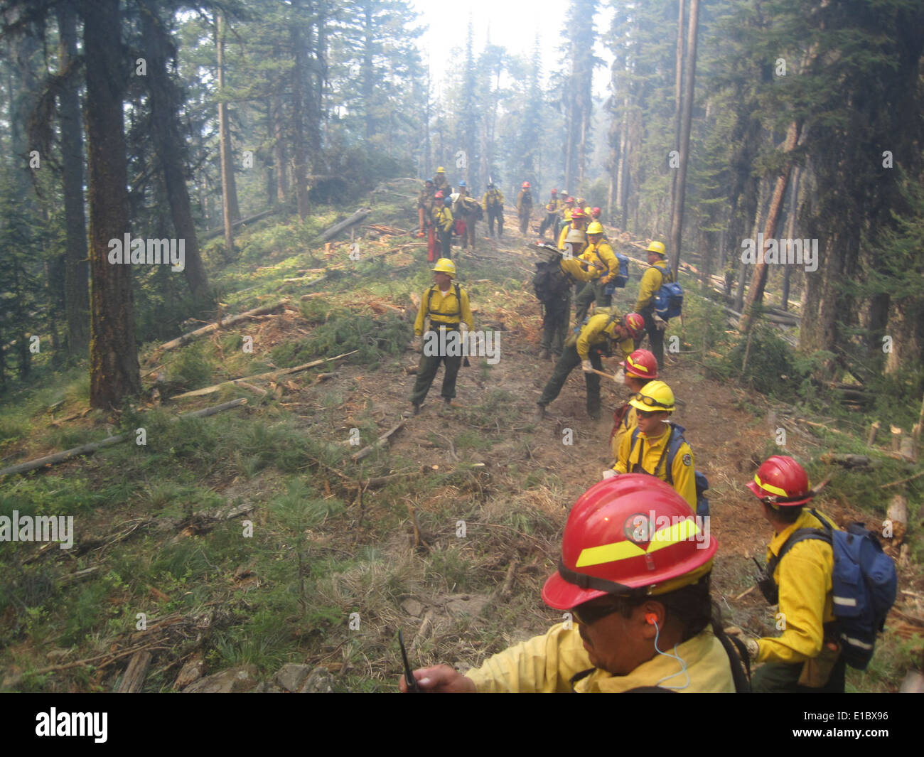 The 41 Complex Fire of 2011 burned across the Bitterroot National ...