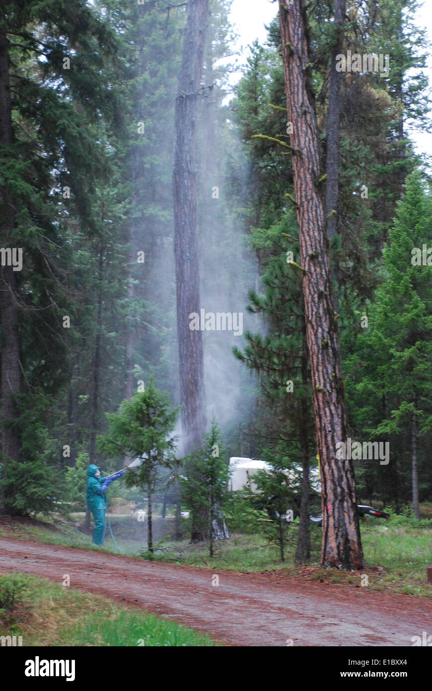 Treated from pests hi-res stock photography and images - Alamy