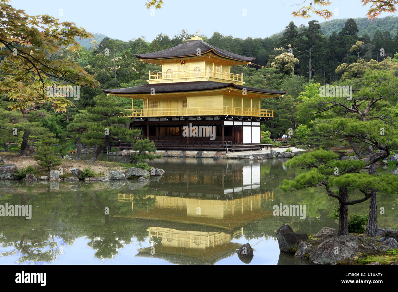 Shariden Kinkaku The golden pavilion, Rokuon-ji temple precinct Stock ...