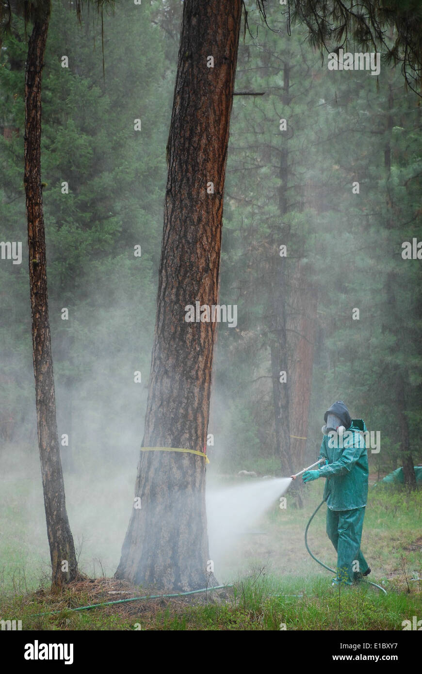 Protect our trees hi-res stock photography and images - Alamy