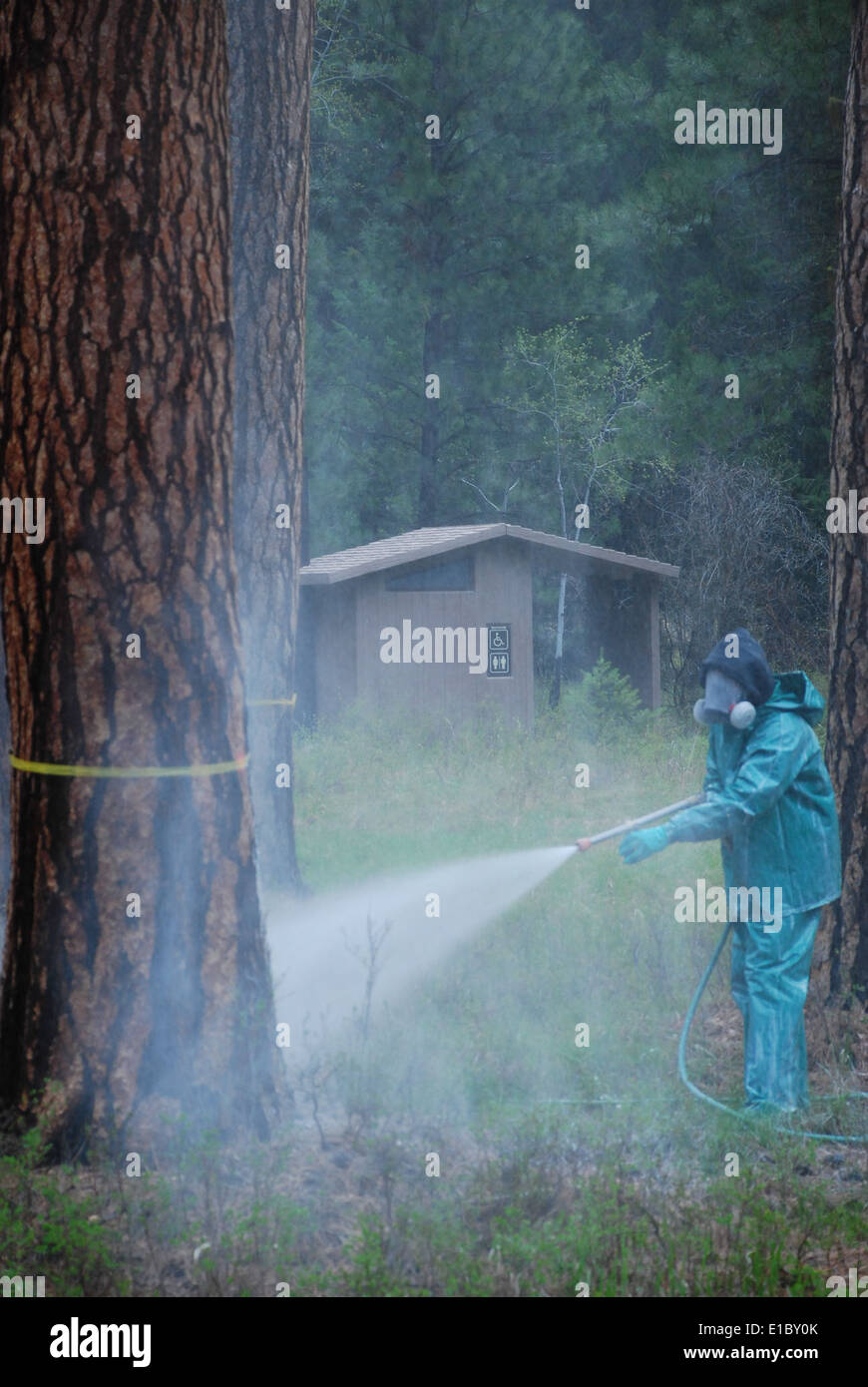 In 2011, Carbaryl insecticide was applied to Ponderosa Pine trees at ...