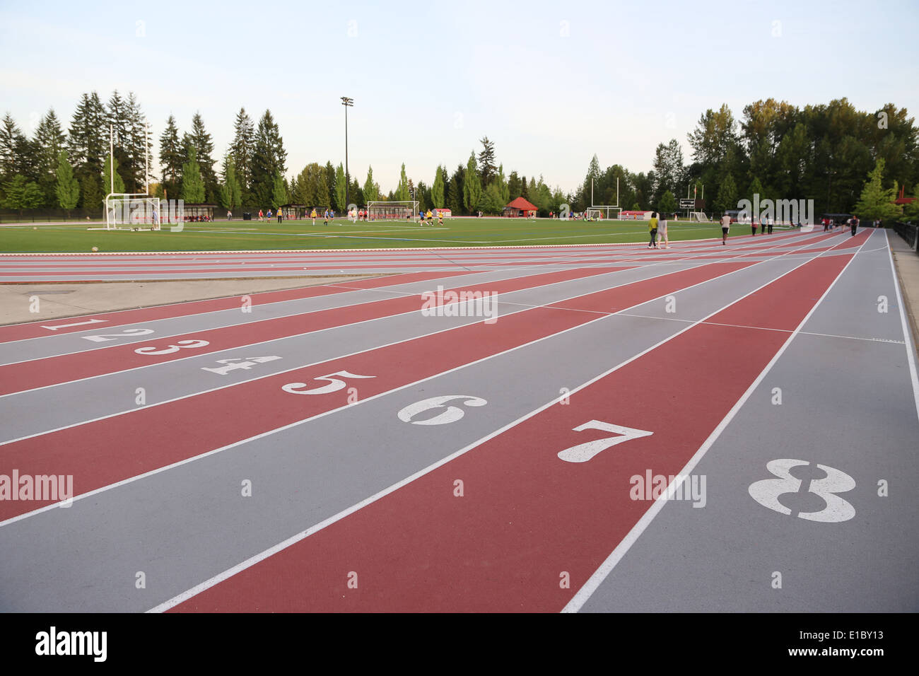 Red treadmill at the stadium with the numbering from one to eight Stock ...