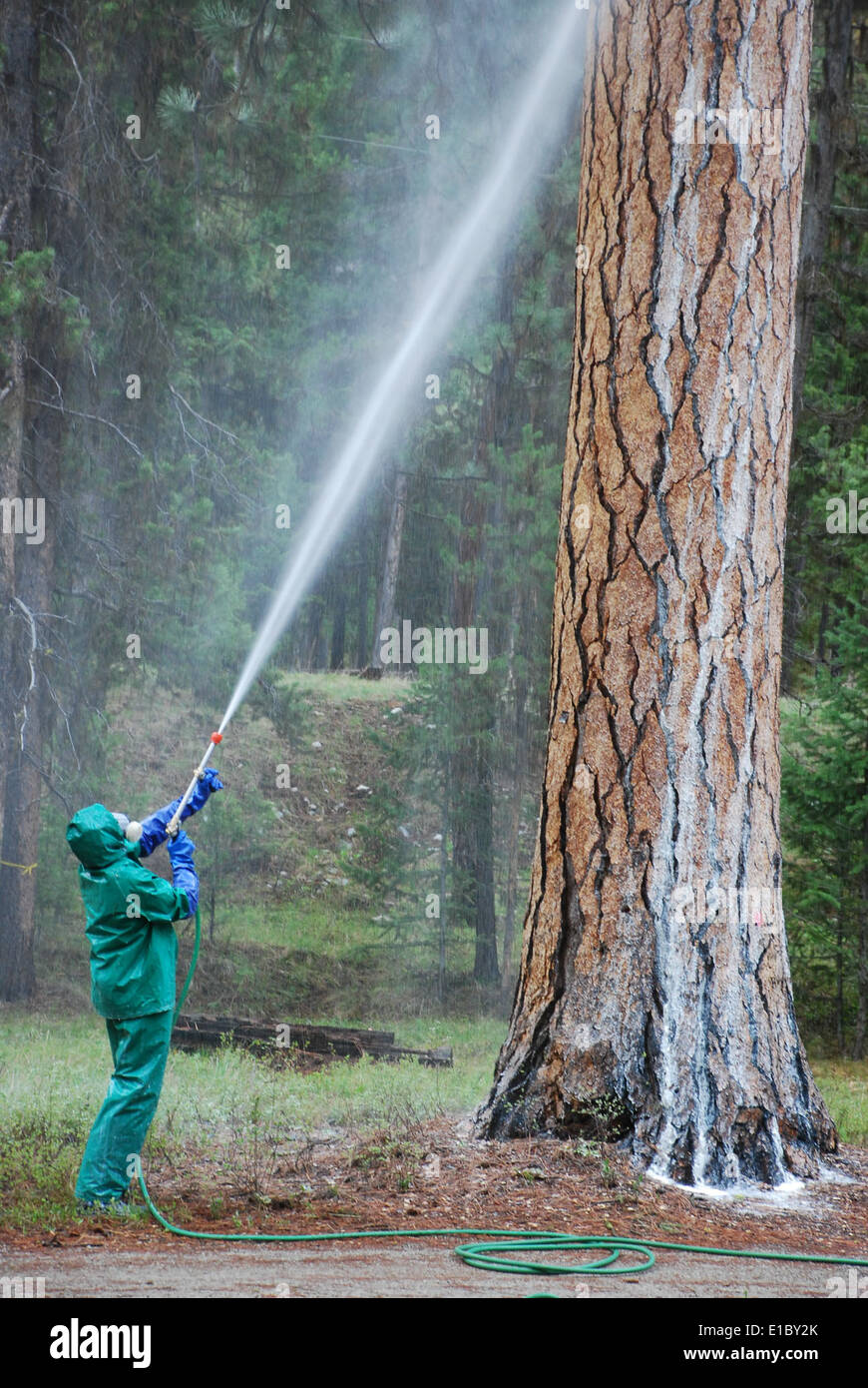 Carbaryl hi-res stock photography and images - Alamy