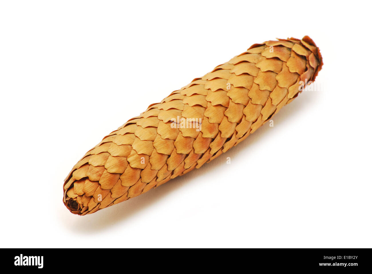 Fie cone isolated on white background Stock Photo - Alamy