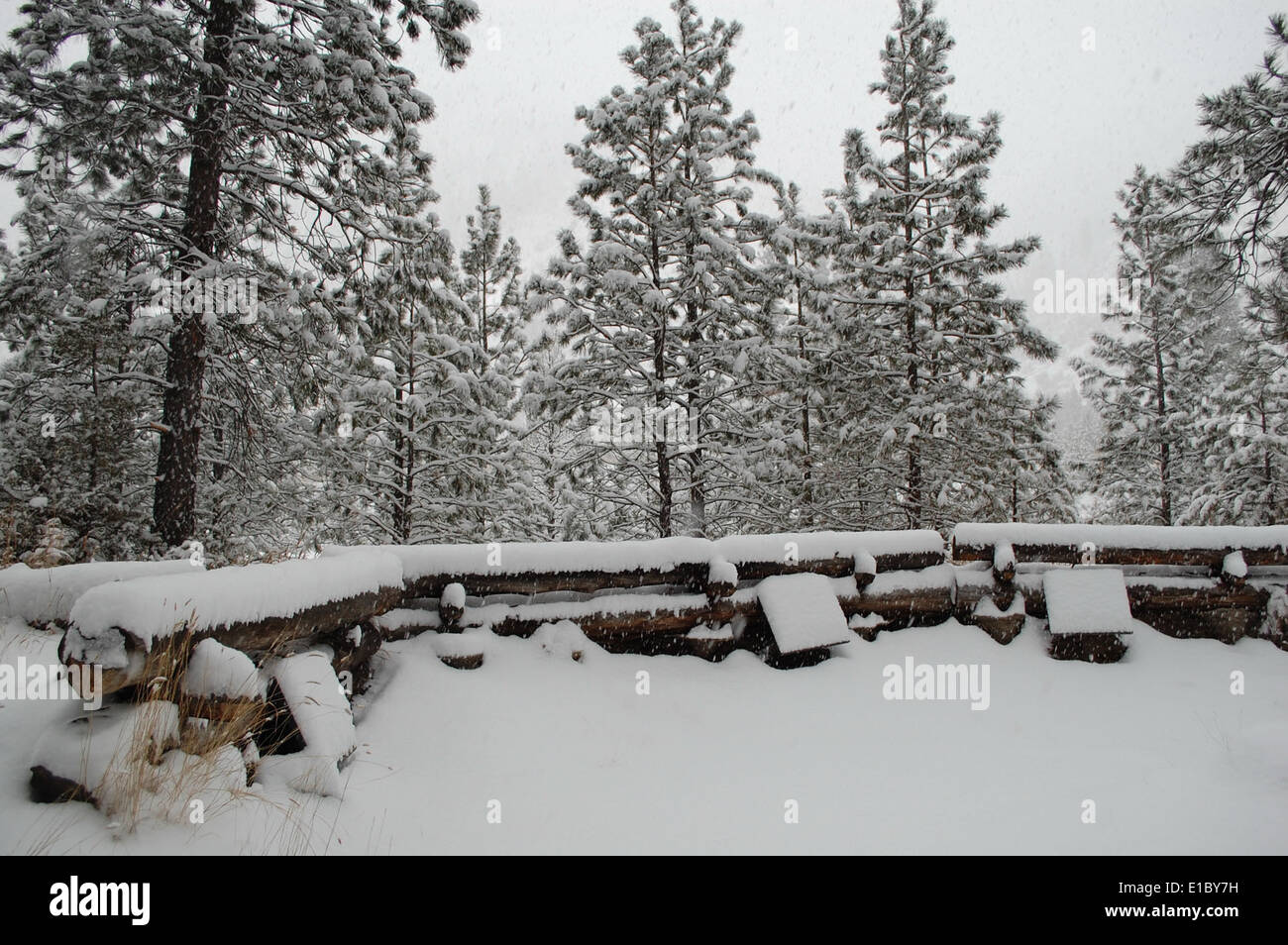 Fizzle hi-res stock photography and images - Alamy