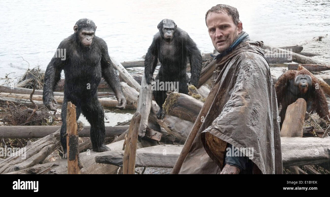 Dawn Of The Planet Of The Apes Banner