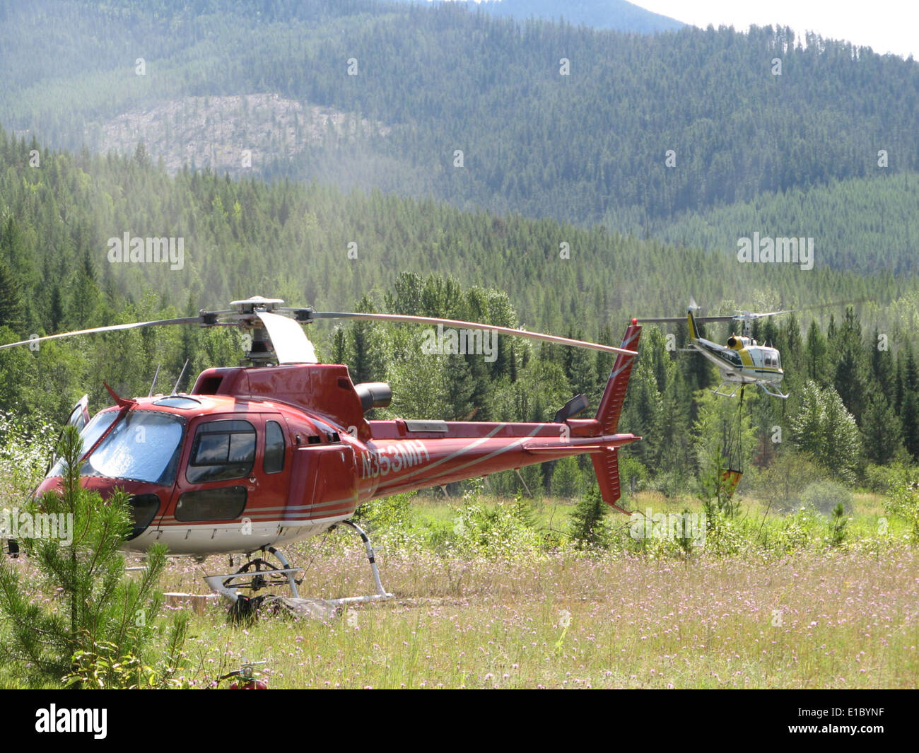 Helicopters are used in Flathead National Forest for firefighting ...